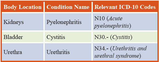 Grasp Handy Tips to Master UTI ICD-10-CM Coding : ICD-10-CM