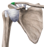 Wiki - DX code for intra articular shoulder joint injection | Medical ...